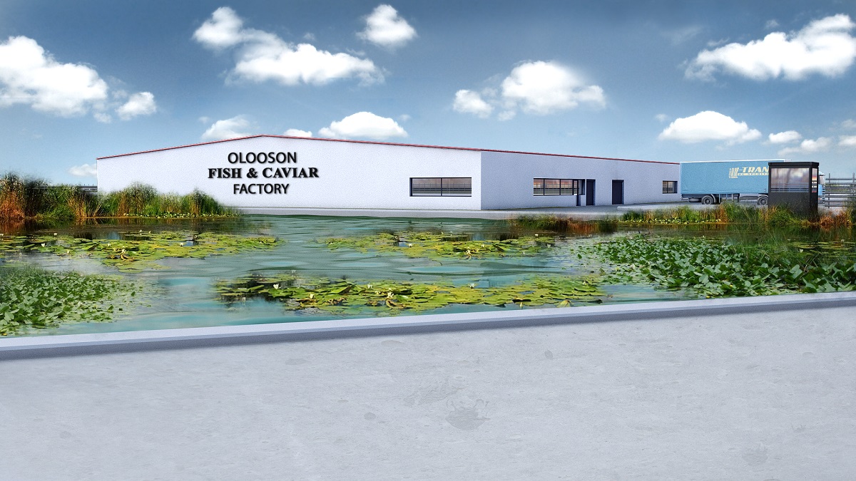 Despre Noi - Caviar Factory